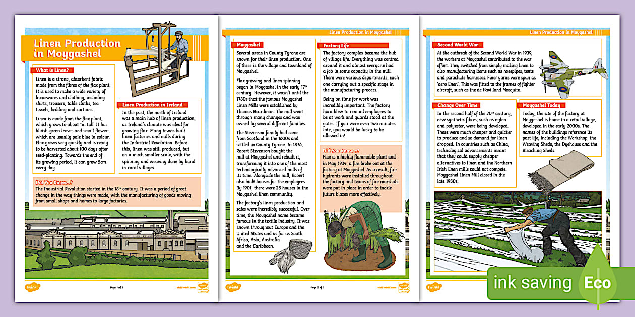 Linen Production in Moygashel Reading Comprehension