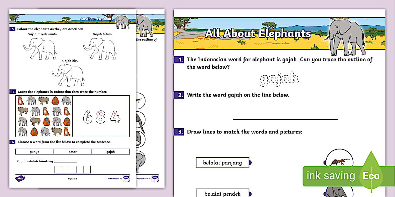 Indonesian Animals: All About Elephants Lower Primary