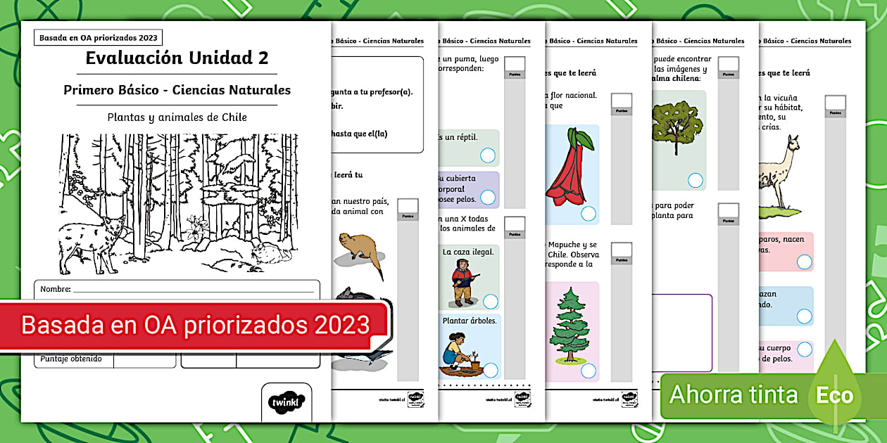 Evaluación: 1º básico - Unidad 2 - Ciencias Naturales