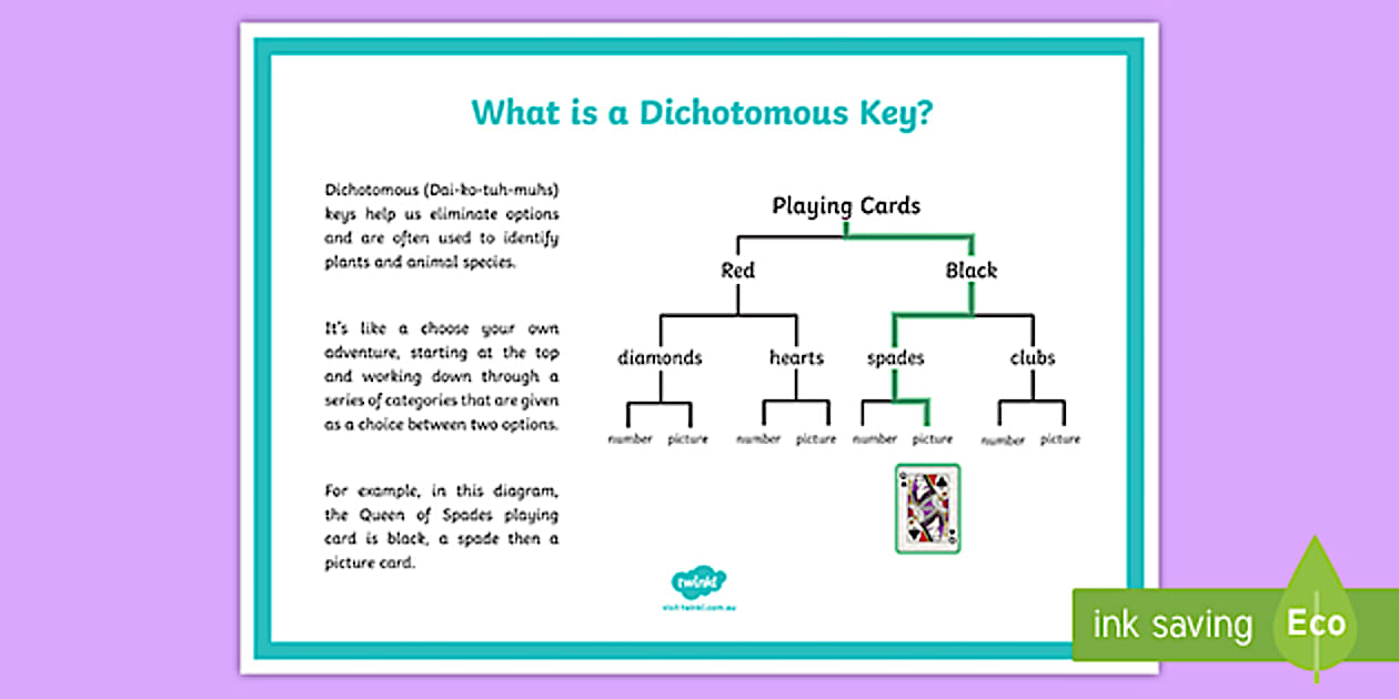 What is a Dichotomous Key? - Twinkl
