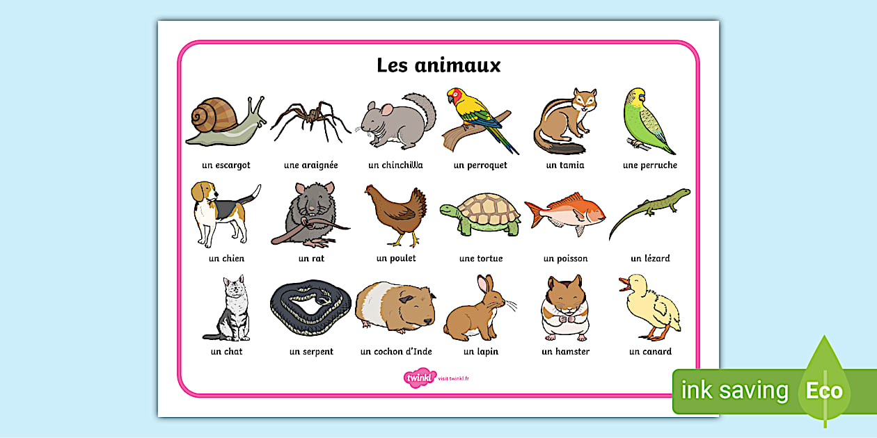 Ensemble de mots : les animaux