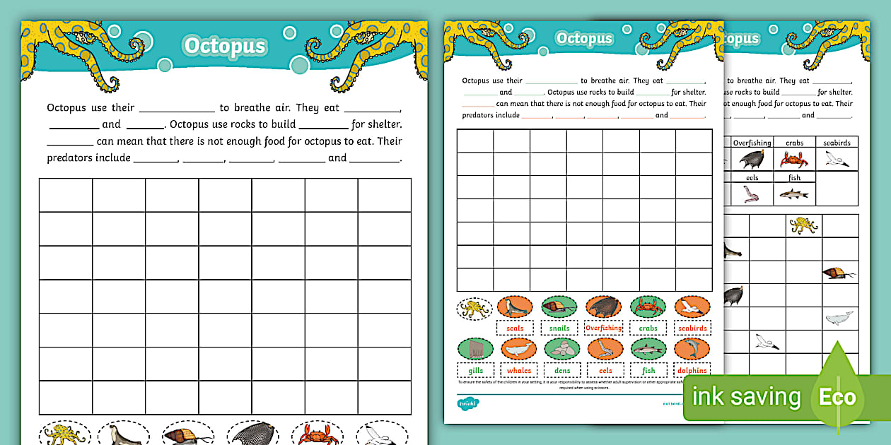 Help the Octopus STEM Coding Algorithm Activity - Twinkl
