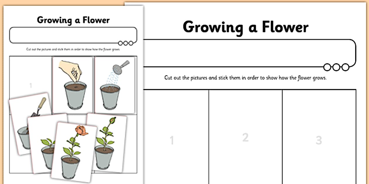 Worksheet / Worksheet Growing a Flower (teacher made)