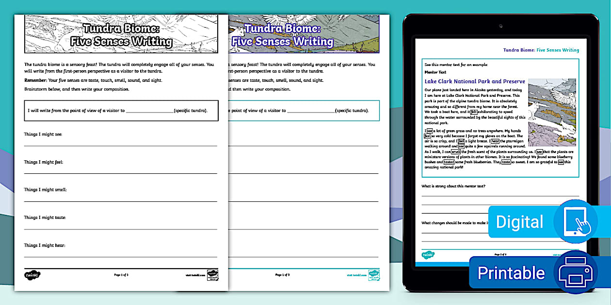 Tundra Biome Five Senses Writing Worksheet for 3rd-5th Grade