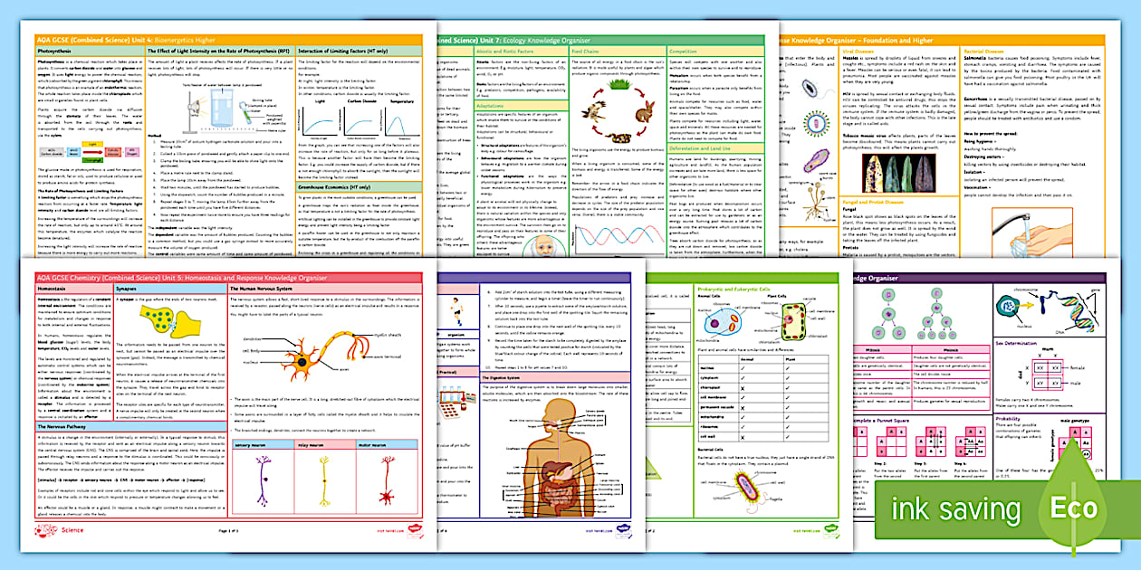 Biology Knowledge Organisers | Beyond (teacher made)