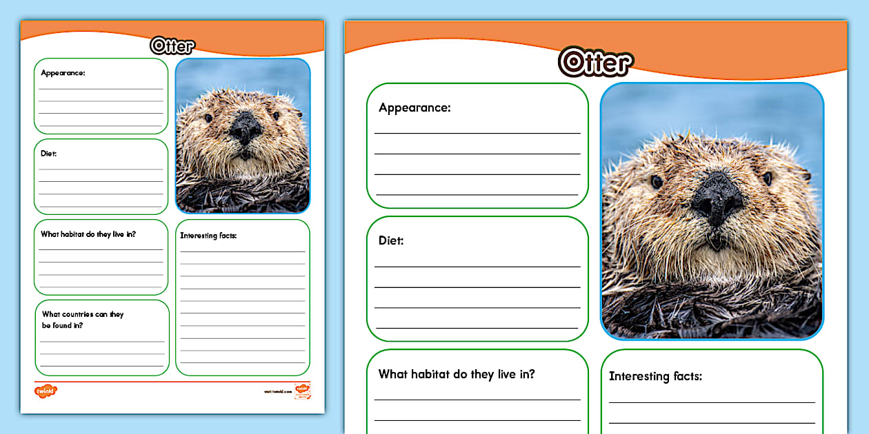 Otter Research Worksheet for K-2nd Grade - Twinkl