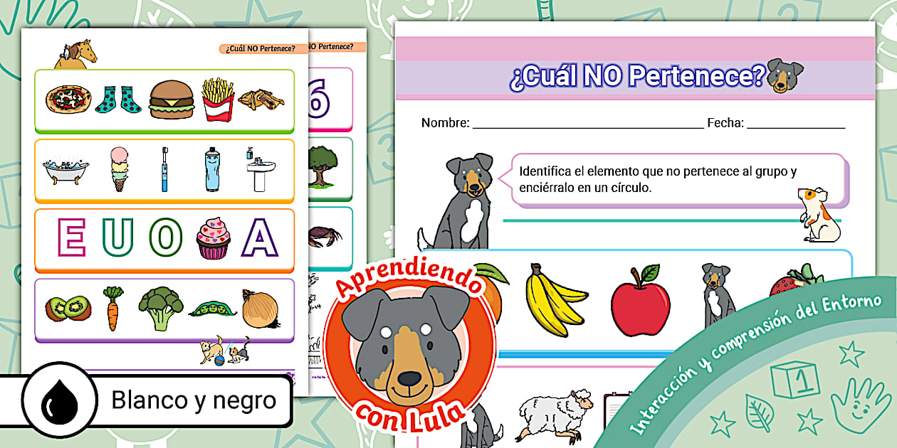 Lula | Guía | Reconocer | Grupos | No Pertenece | Identifica