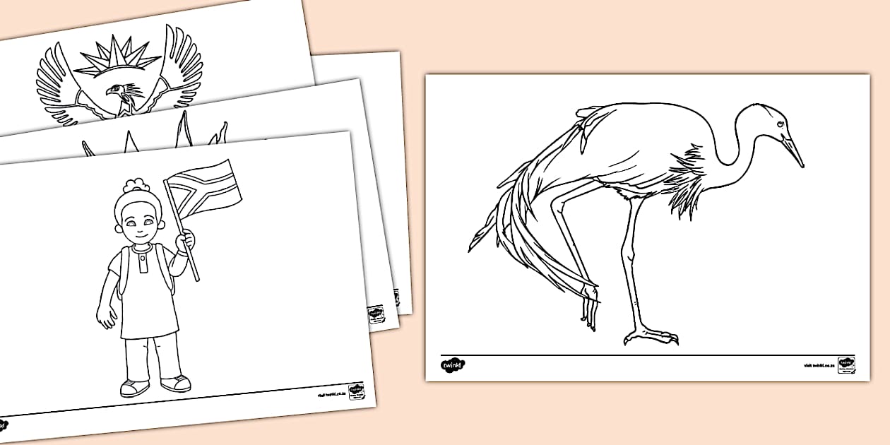 National Symbols of South Africa Colouring Sheets - Twinkl