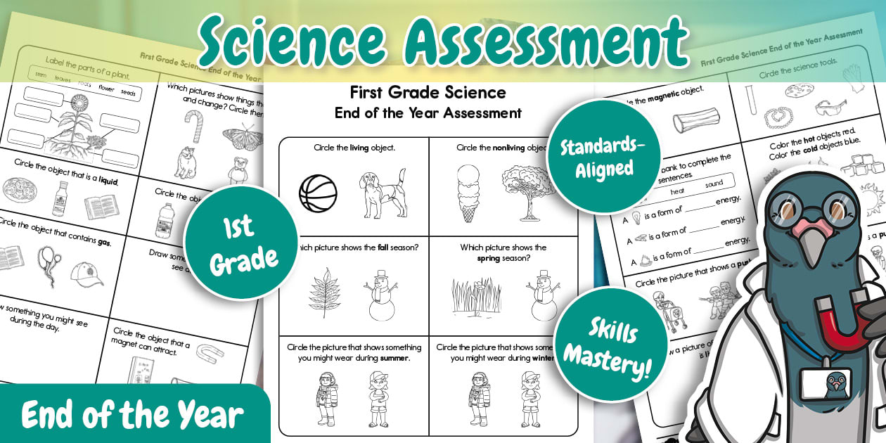 First Grade End of the Year Science Assessment - Twinkl