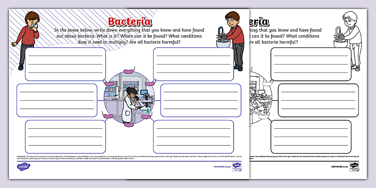 Bacteria Mind Map (teacher made) - Twinkl