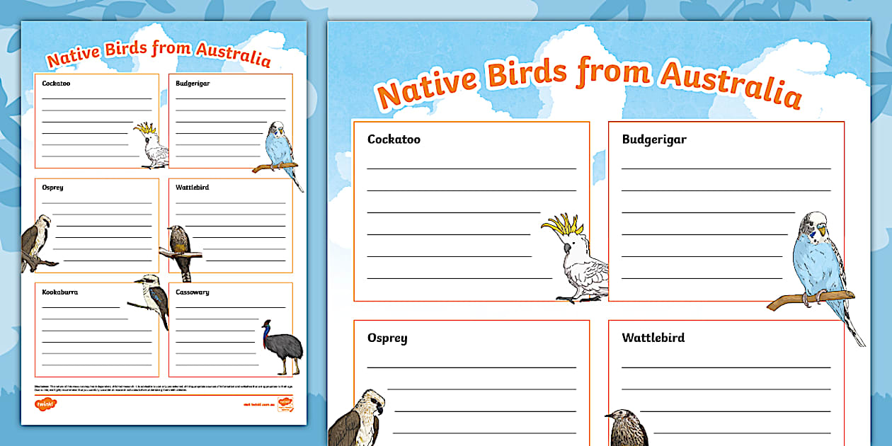 Native Australian Birds Fact File Template (Teacher-Made)