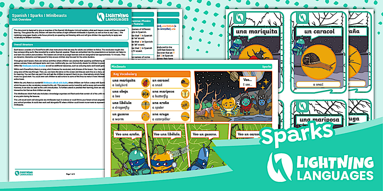 👉 Spanish I Sparks I Minibeasts Adult Pack (teacher made)