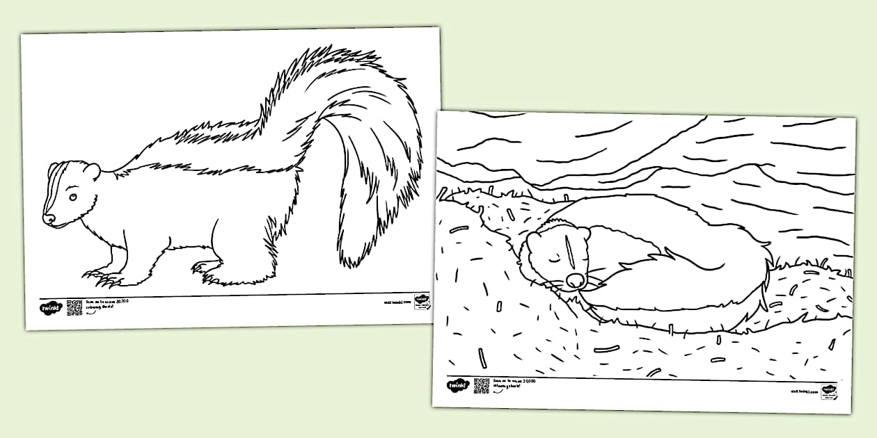 Skunk Colouring Sheet (teacher made) - Twinkl