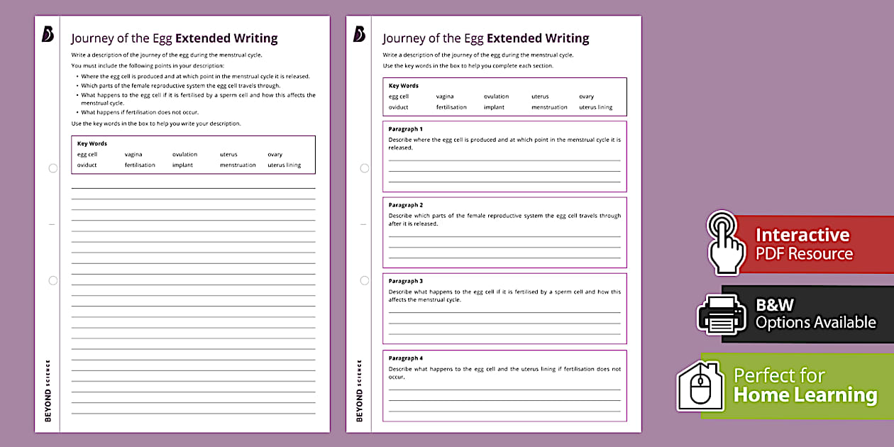KS3 Journey of the Egg Extended Writing Task (teacher made)