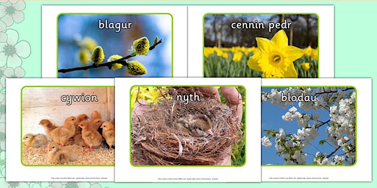 Editable Lluniau 'Y Gwanwyn' (Teacher-Made) - Twinkl