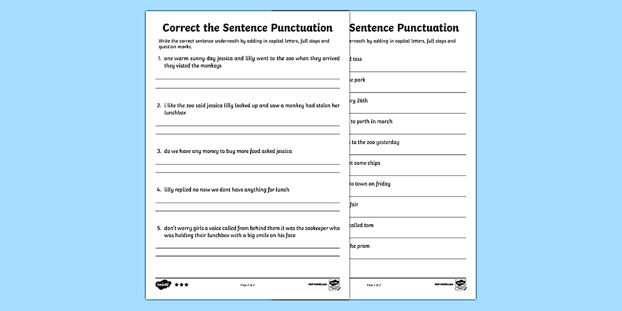 Correct the Sentence Punctuation Worksheet / Worksheets