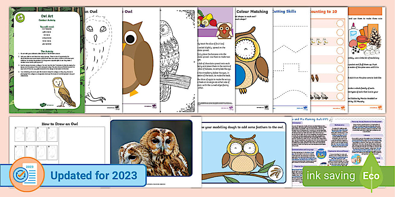 Childminder Owl Resource Pack (teacher made) - Twinkl