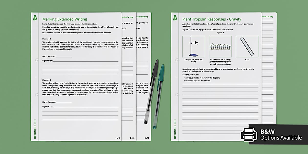 Plant Tropism Responses - Marking Extended Writing Questions