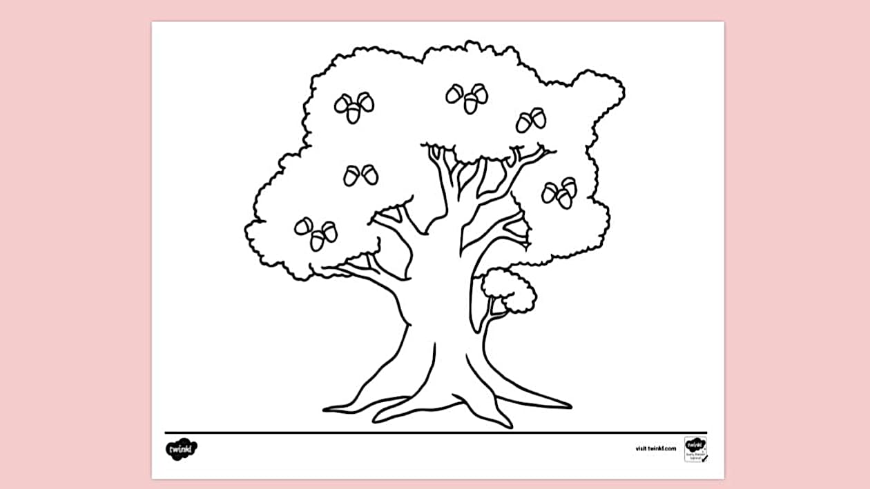 Printable Tree Colouring | Colouring Sheets (teacher made)