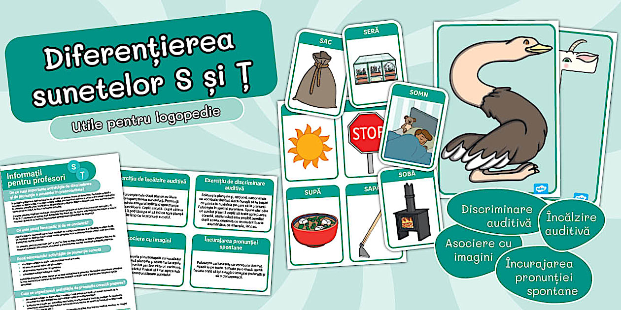 Diferențierea sunetelor S Ț Activități de pronunție corectă
