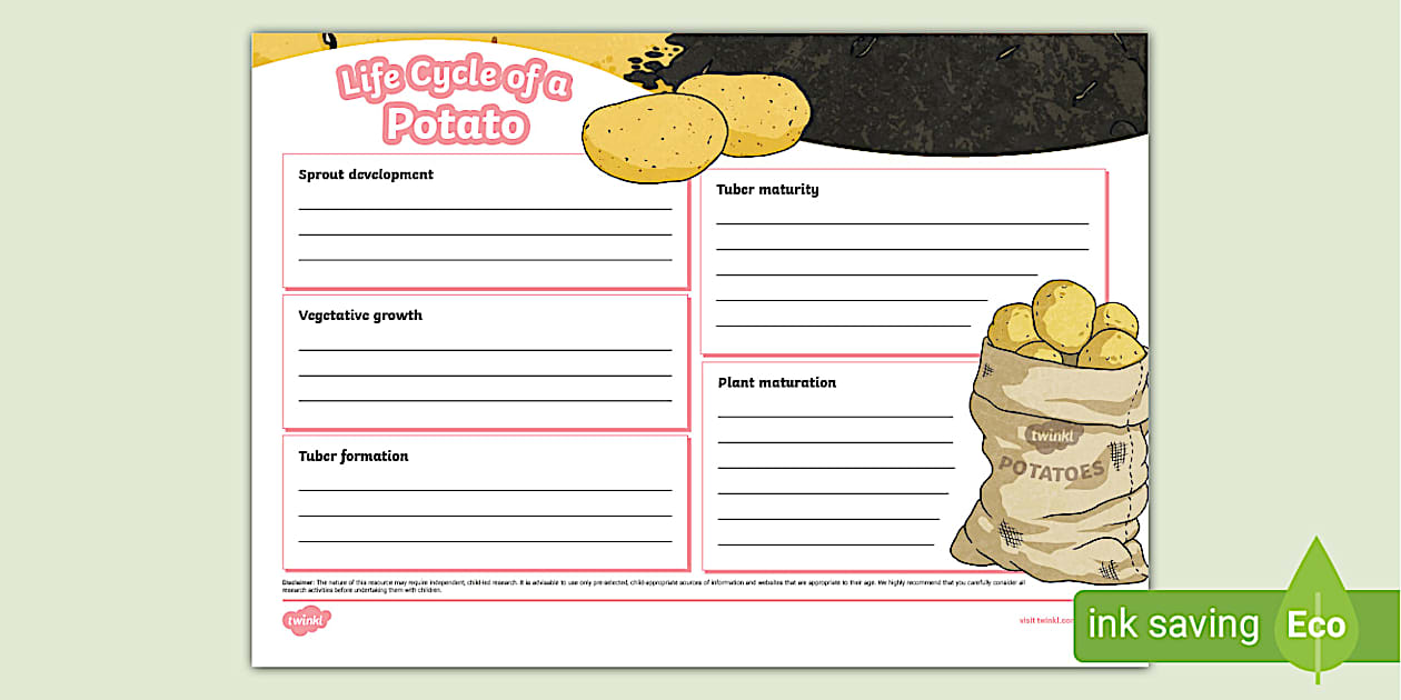 Potato Life Cycle Fact File Template (Teacher-Made) - Twinkl