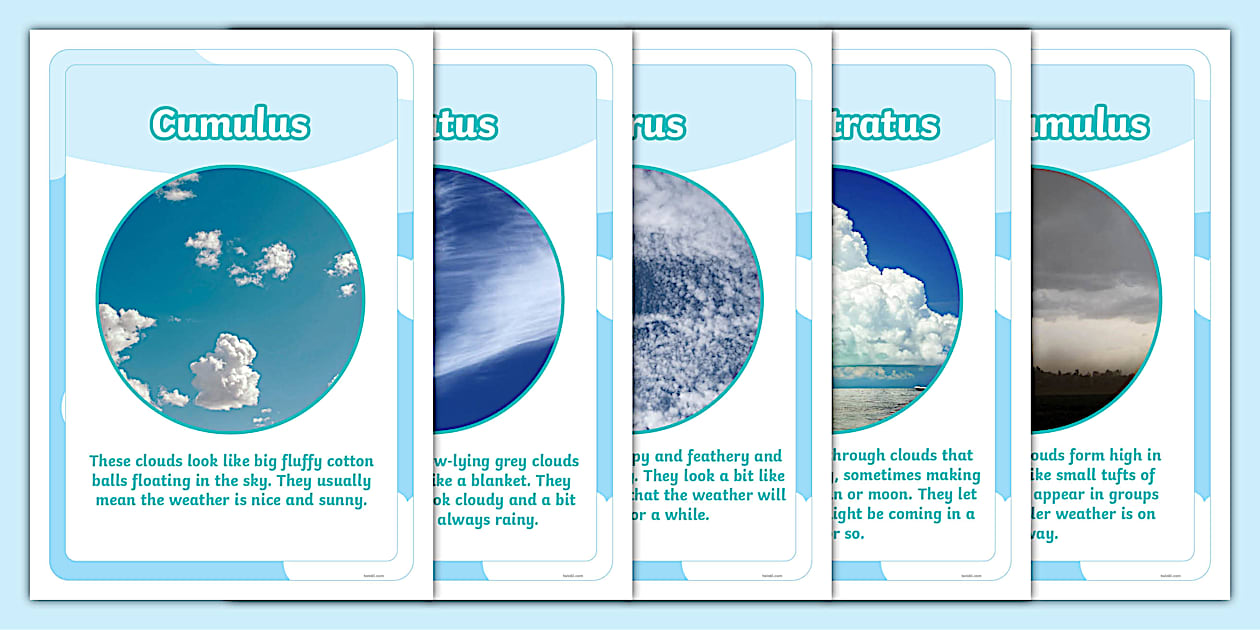 Types of Clouds Display Posters (Hecho por educadores)