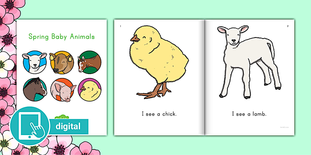 Editable Spring Baby Animals Emergent Reader eBook - Twinkl