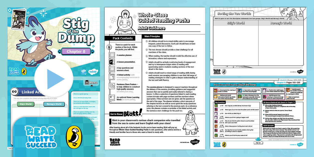 FREE! - Stig of the Dump Whole-Class Guided Reading Pack: Chapter 8 [LKS2]