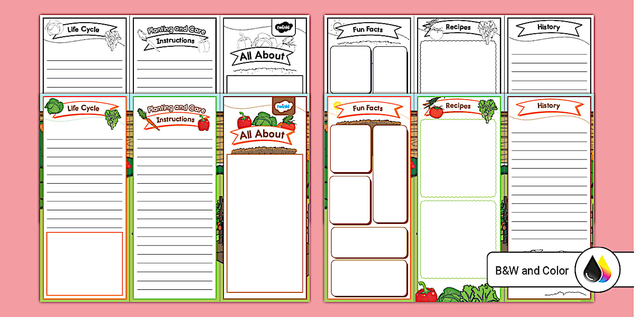 Garden Plant Research Trifold Pamphlet (teacher made)