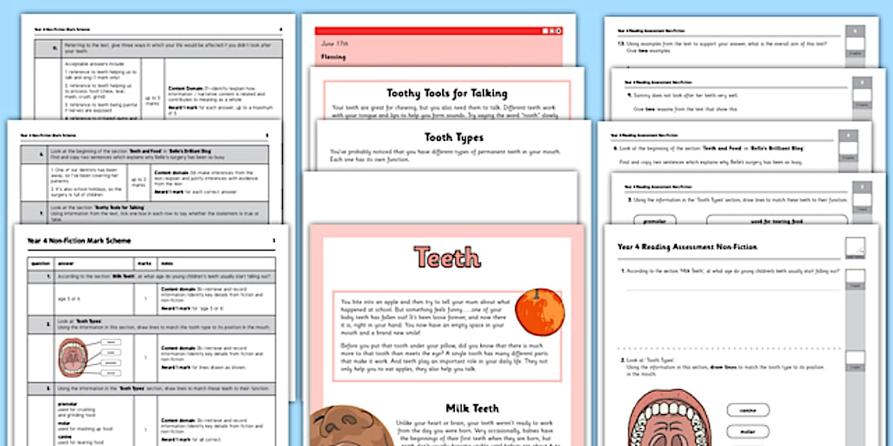 Year 4 Term 1 Non-Fiction Reading Assessment - Twinkl