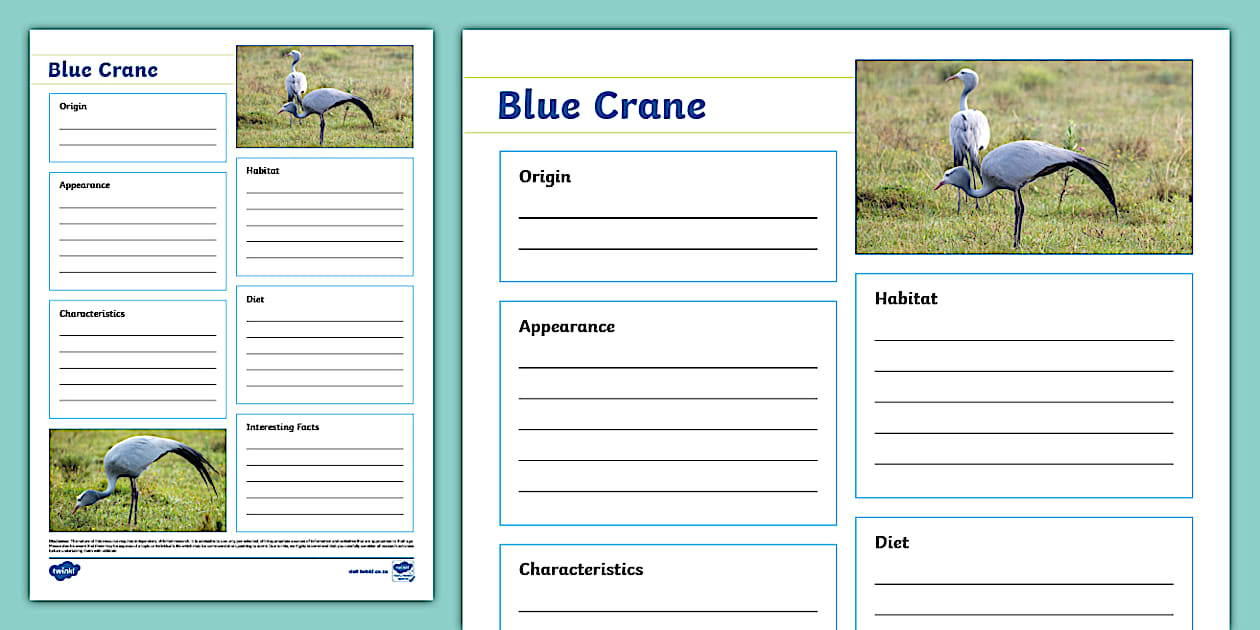 Blue Crane Fact File Template (teacher made) - Twinkl