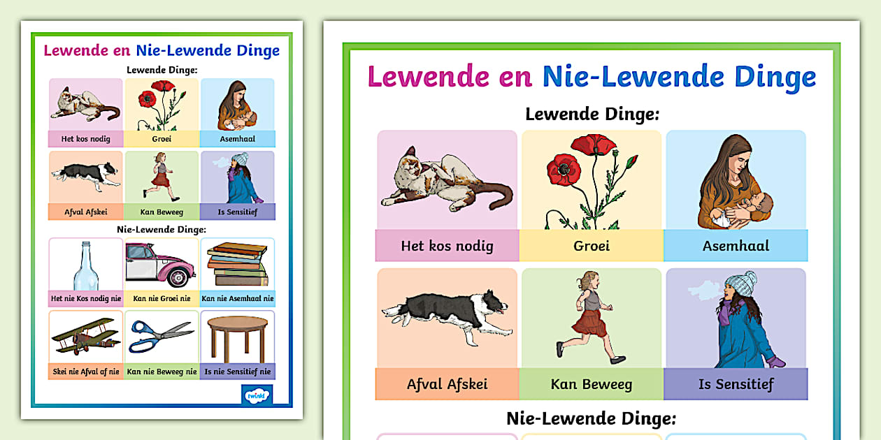 Graad 4 – Lewende en Nie-Lewende Dinge - Plakkaat