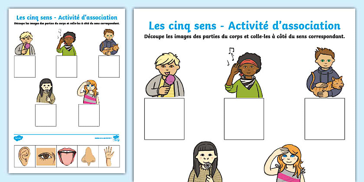 Fiche d'activité : Associer les cinq sens (Teacher-Made)