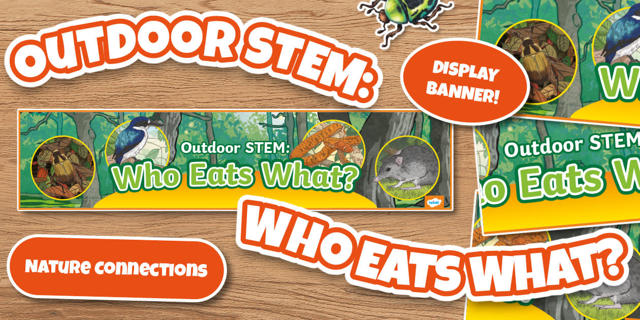 Outdoor STEM Display Banner: Who Eats What?