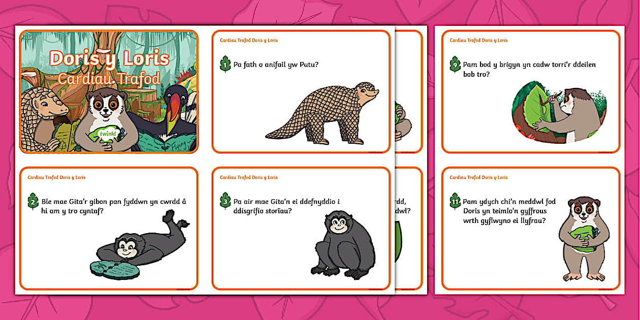 Doris y Loris: Cardiau Trafod Darllen dan Arweiniad - Twinkl