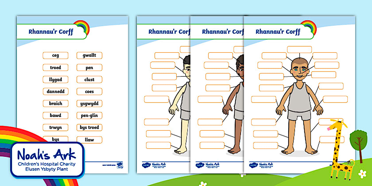 FREE! - Labelu Rhannau'r Corff (Teacher-Made) - Twinkl