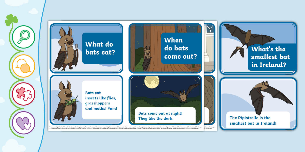 Bats in Ireland Flashcards (teacher made) - Twinkl