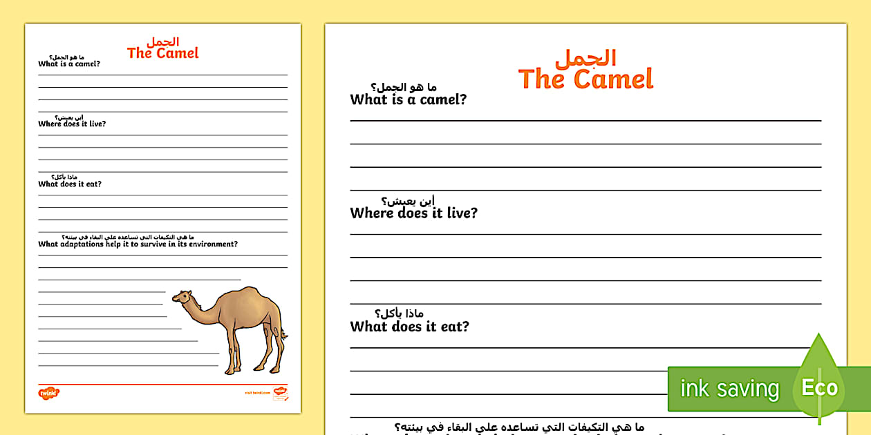 Black and White Camel Information Text Writing Template Arabic/English