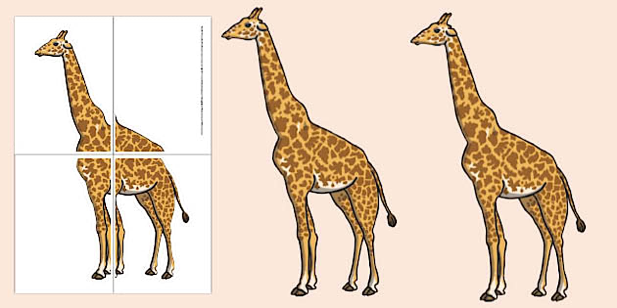 Large Giraffe Cut-Out (teacher made) - Twinkl