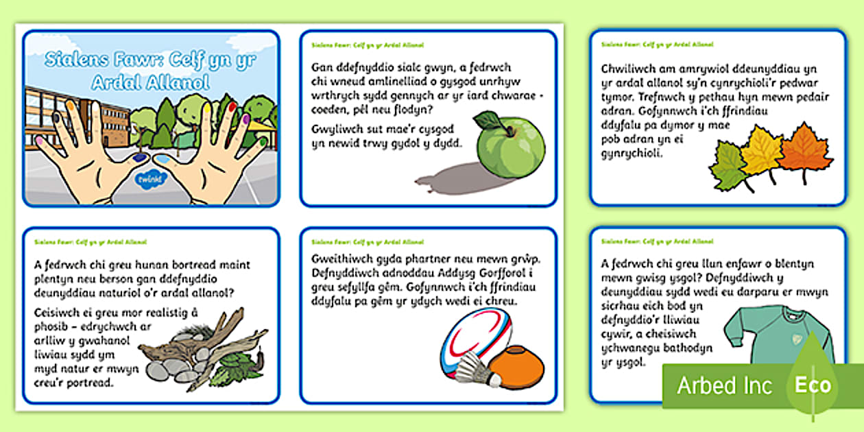 Sialens Fawr: Celf yn yr Ardal Allanol - Twinkl