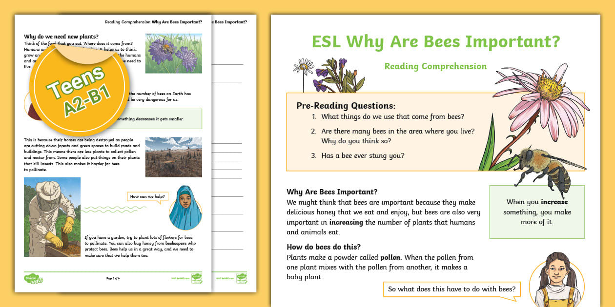 ESL Bees Reading Comprehension for Teens (teacher made)