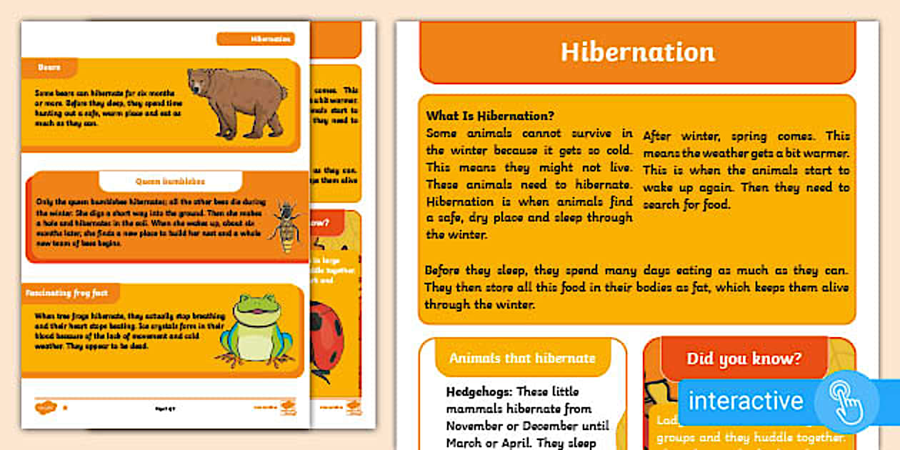 Hibernation Reading Comprehension Activity (Teacher-Made)