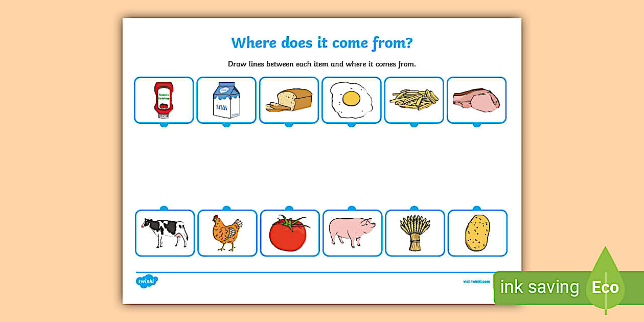 Where Does Food Come From Worksheet - Twinkl