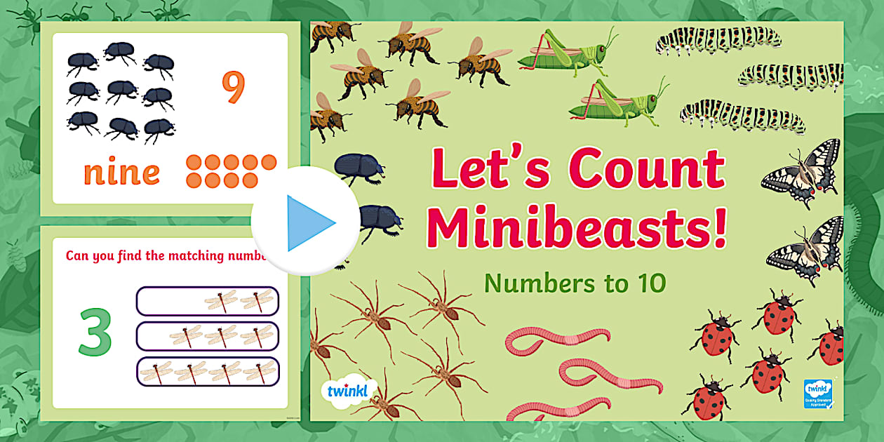 👉 Let's Count Minibeasts! Numbers to 10 PowerPoint