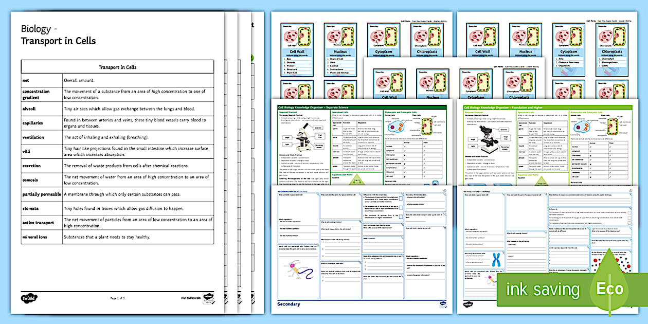 GCSE Cells Revision Pack (Teacher-Made) - Twinkl