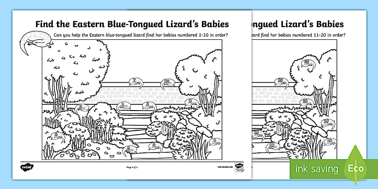 Eastern Blue-Tongued Lizard Number Recognition Worksheet / Worksheet