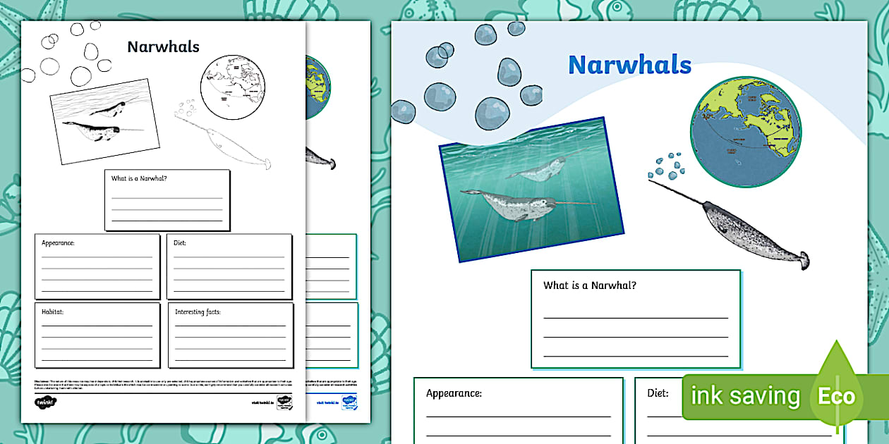 Narwhal Fact File Template (teacher made) - Twinkl