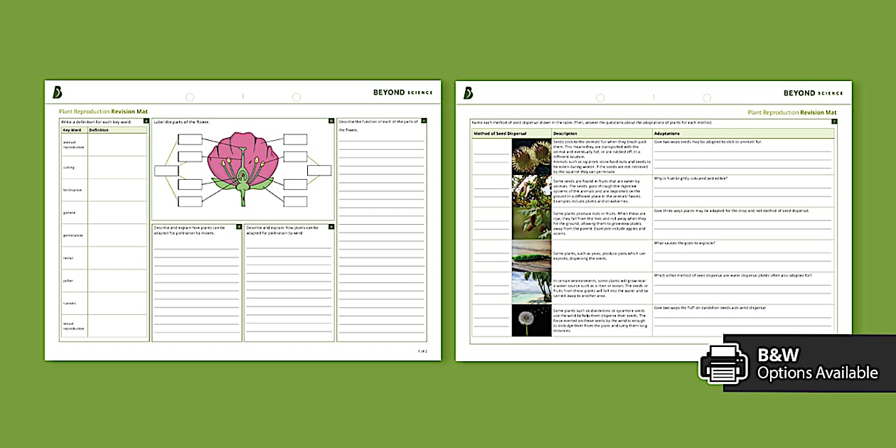 Plant Reproduction Revision Mat | KS3 Biology | Beyond