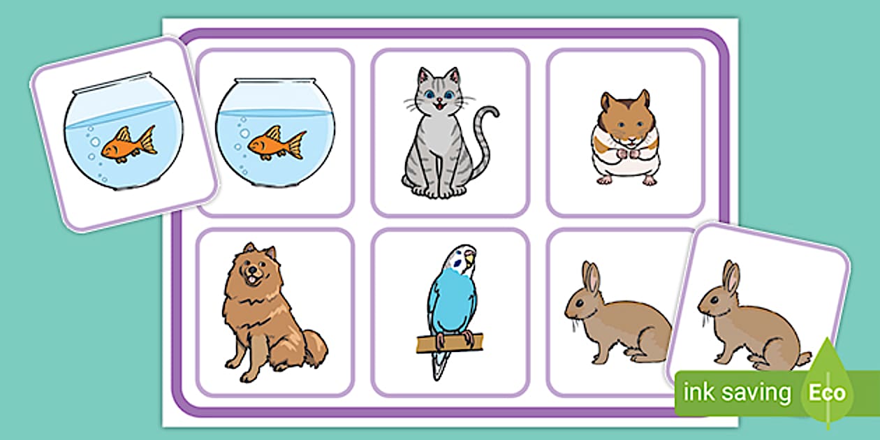 Pets Matching Cards and Board (Teacher-Made) - Twinkl