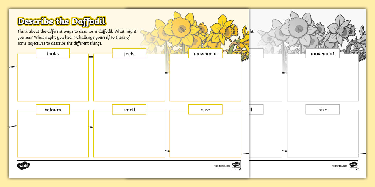 Daffodil Adjectives Worksheet - English (Teacher-Made)